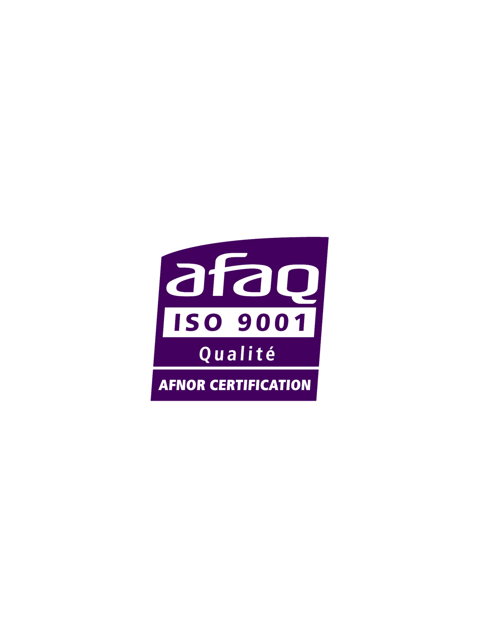 Our Team & Governance | Escadrille Junior Enterprise